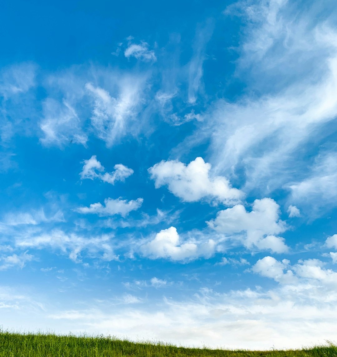 Balancing Client Needs With Program Goals