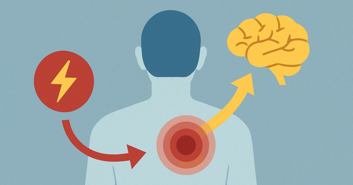 Central Sensitization Syndrome: Understanding Chronic Pain & Treatment ...